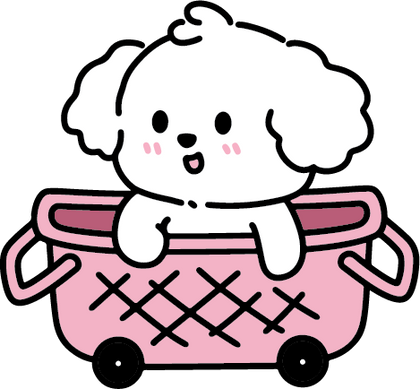 Lumee DIY | A Life-Time-Unique Experience You Can't Miss – Lumee LA